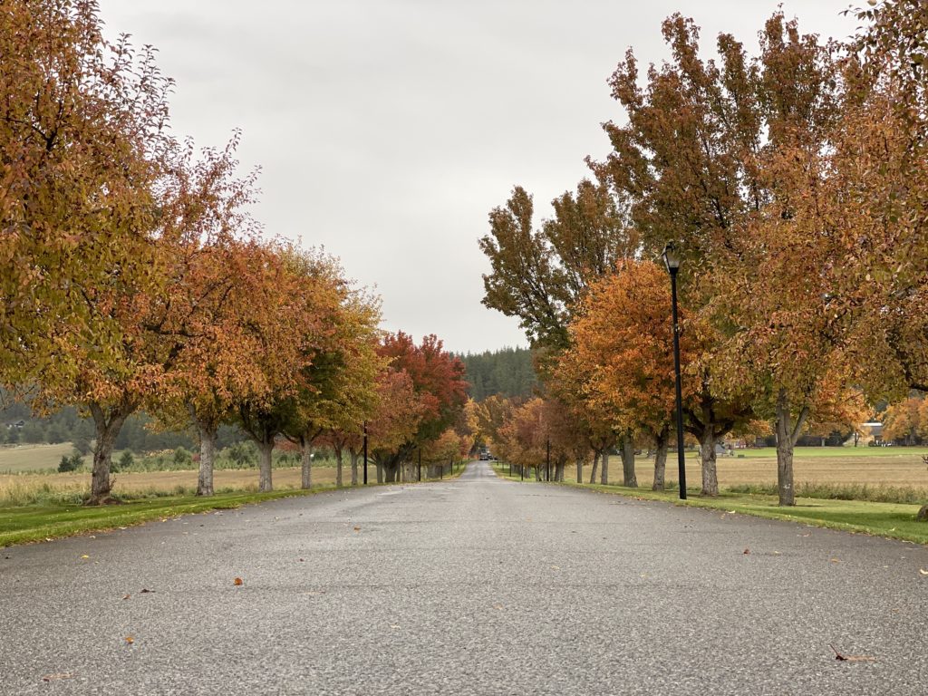 News - Hutton Settlement